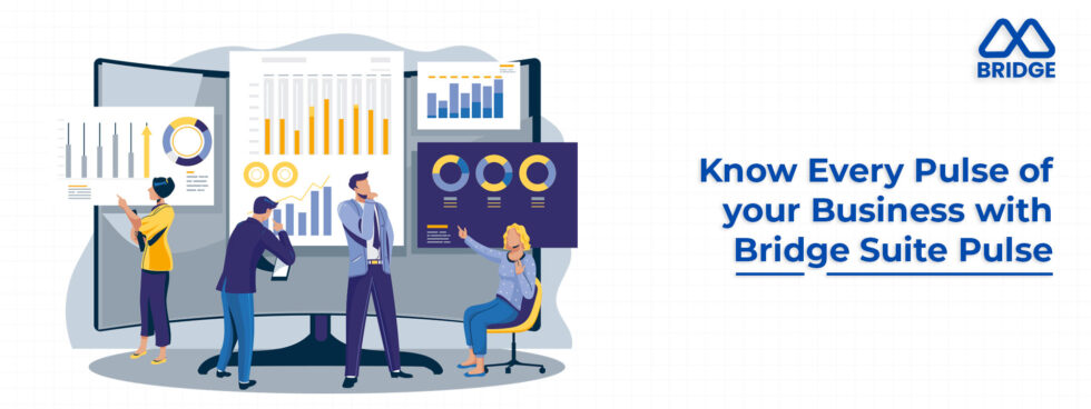 Bridge CX – All-in-One Customer Engagement Platform